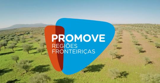 2ª edição do Programa Promove